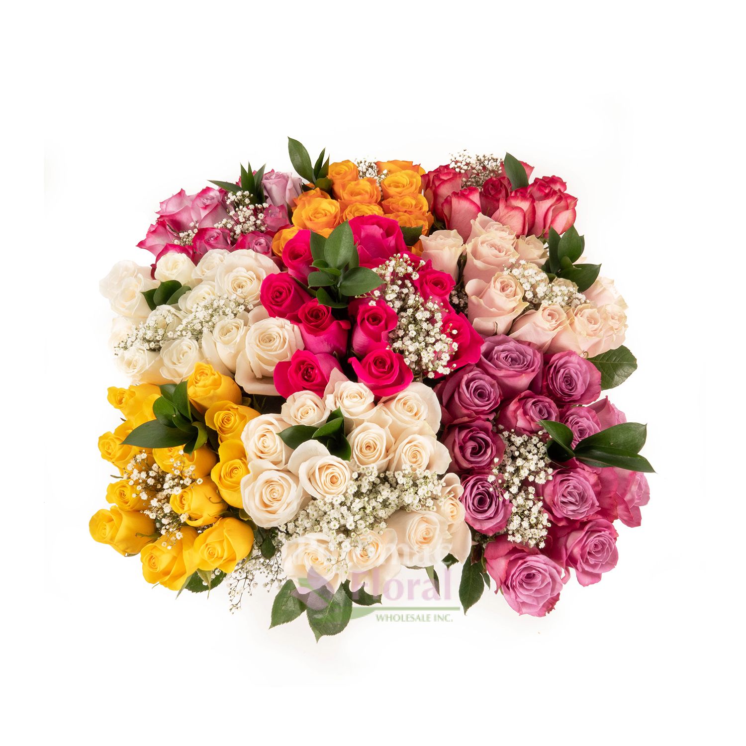 Dozen Roses, 50cm Asst Colors w/Fillers,10 per Box - Potomac Floral ...