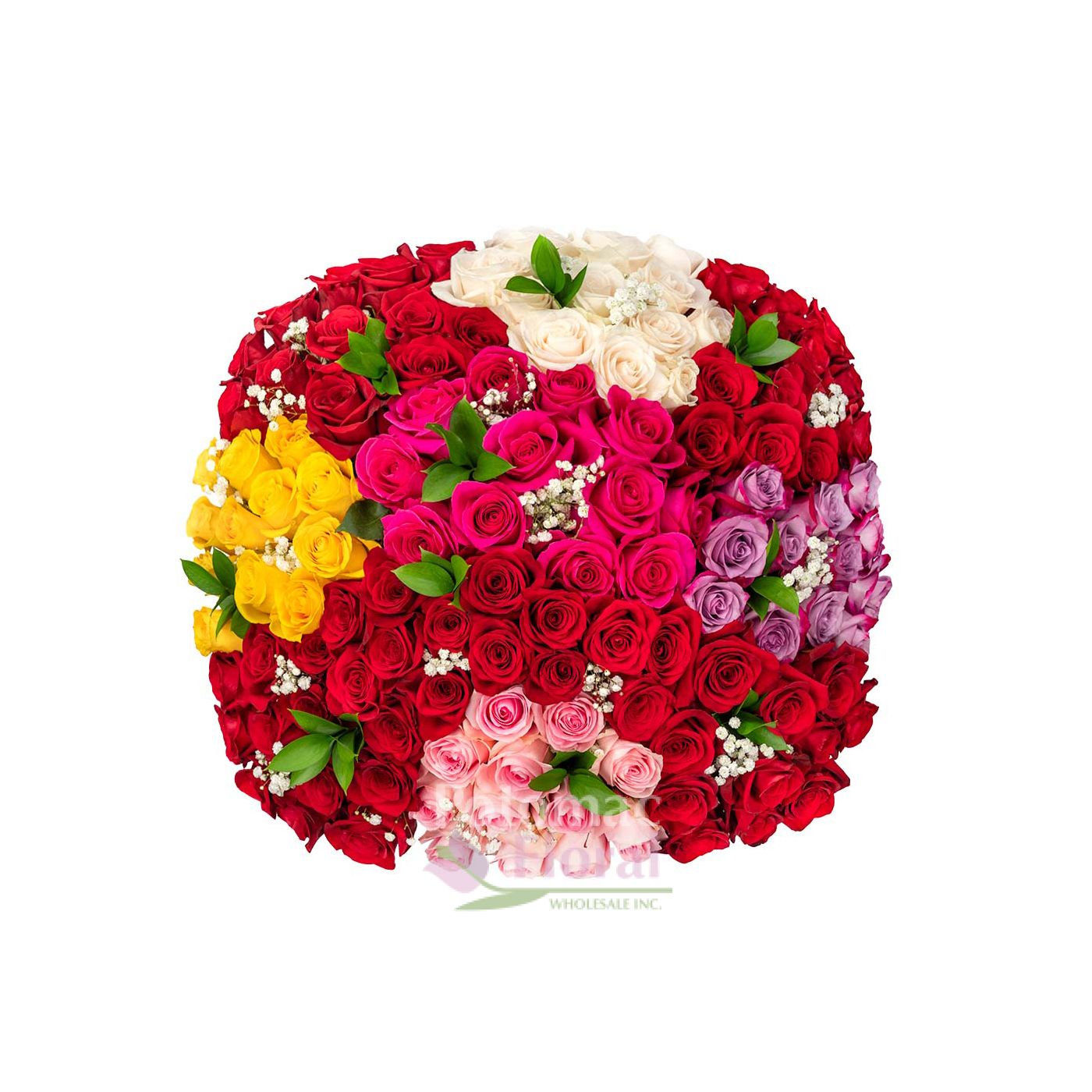 Dozen Roses 50 cm 5 Reds & 5 Colors with Filler, Dry Pack - Potomac ...