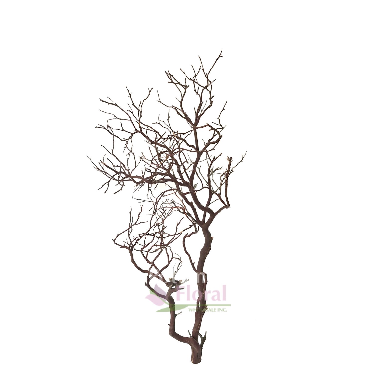 Manzanita Branch Natural, 30-40" Tall - Potomac Floral Wholesale
