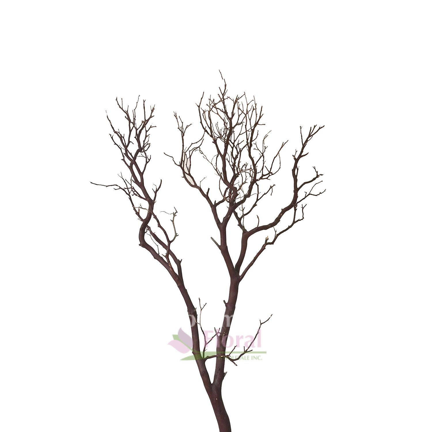 Manzanita Branch 4' Tall - Natural - Potomac Floral Wholesale