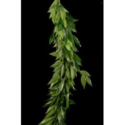 Greenery Garland -1 Item - Cocculus | Per Foot - Potomac Floral Wholesale
