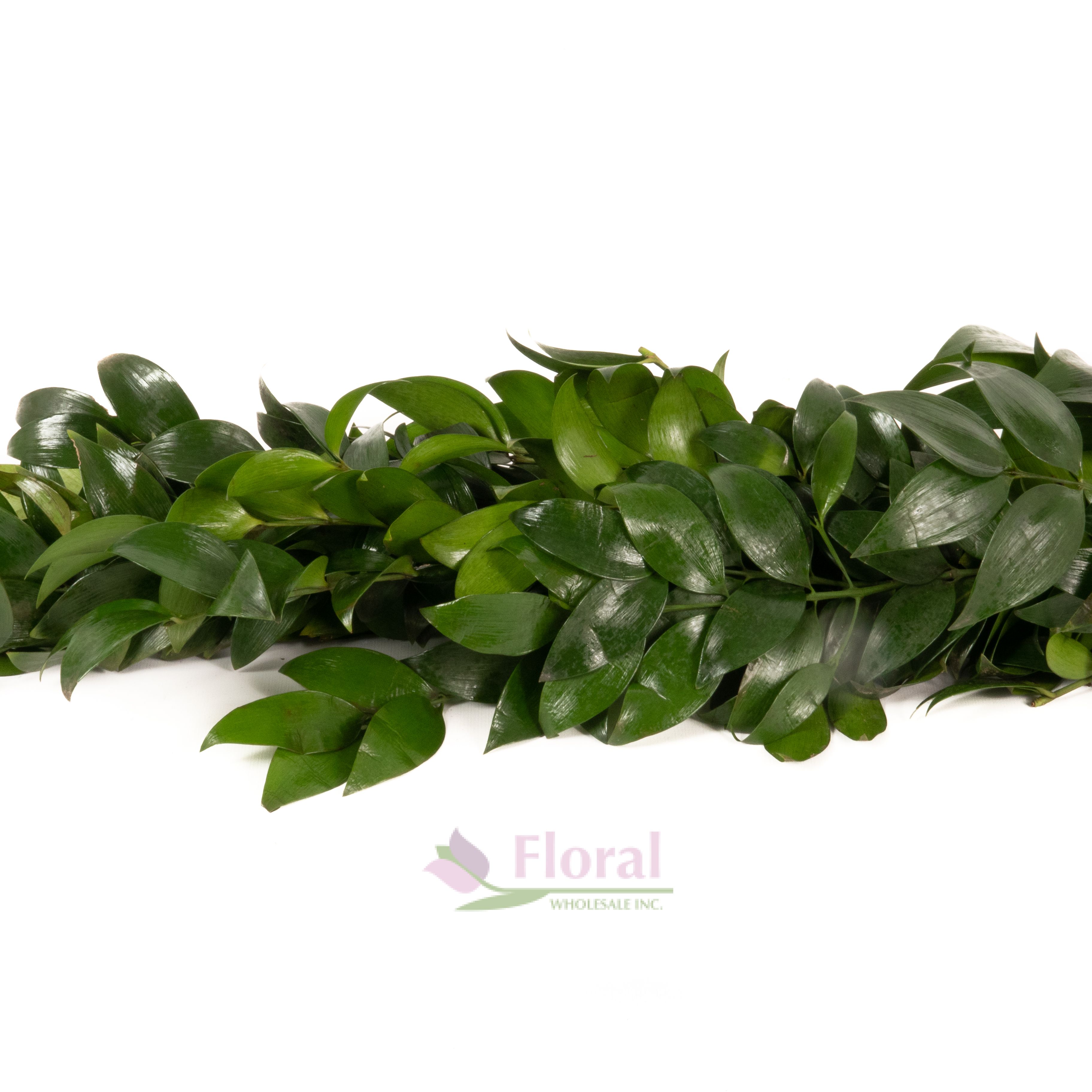 Fresh Greenery Garland - 1 Item - Nagi | By The Foot - Potomac Floral ...