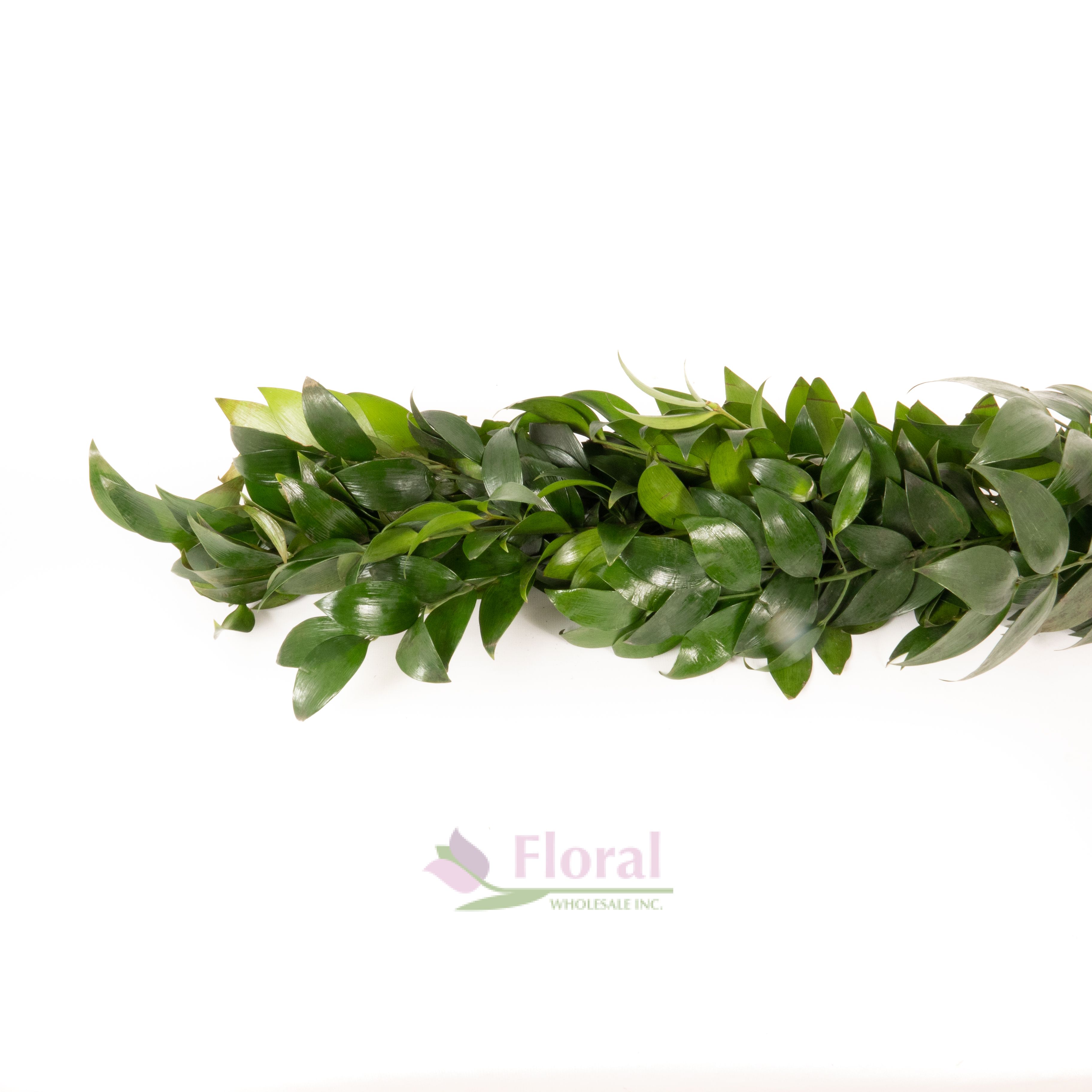 Fresh Greenery Garland - 1 Item - Nagi | By The Foot - Potomac Floral ...