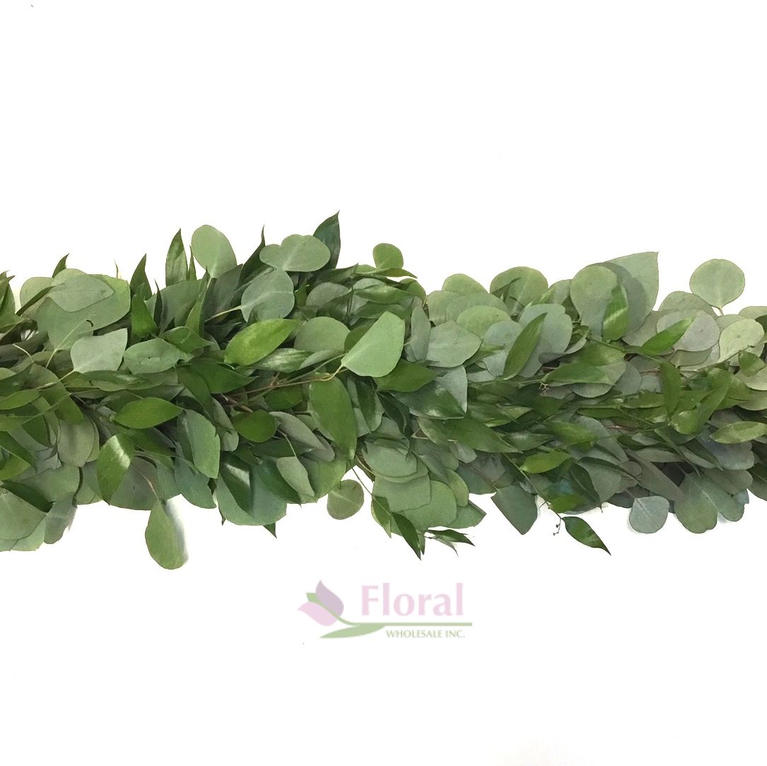 Fresh Garland- 2 Items - Italian Ruscus & Silver Dollar Euc - Potomac ...