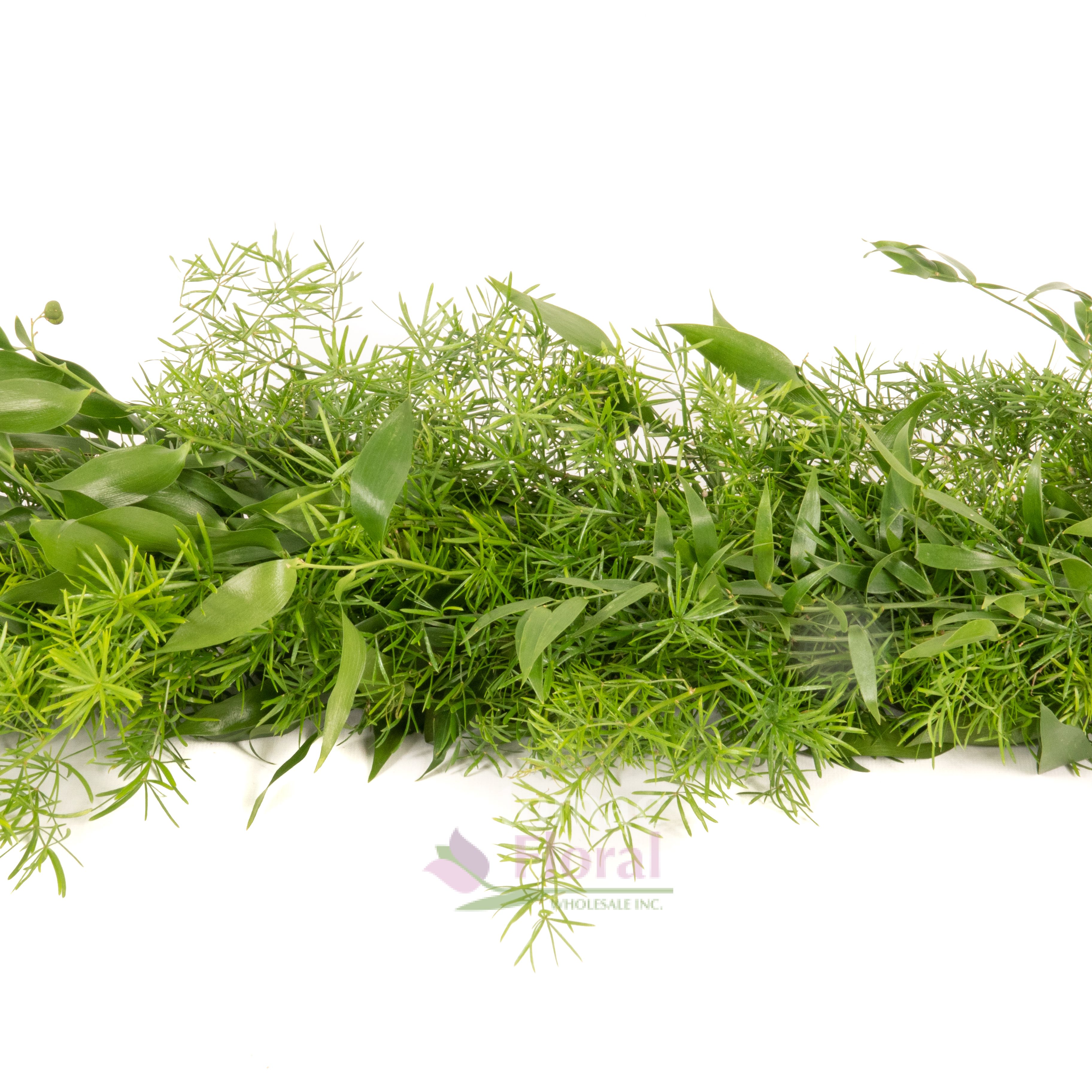 Garland 2 items Italian Ruscus- Springeri - Potomac Floral Wholesale