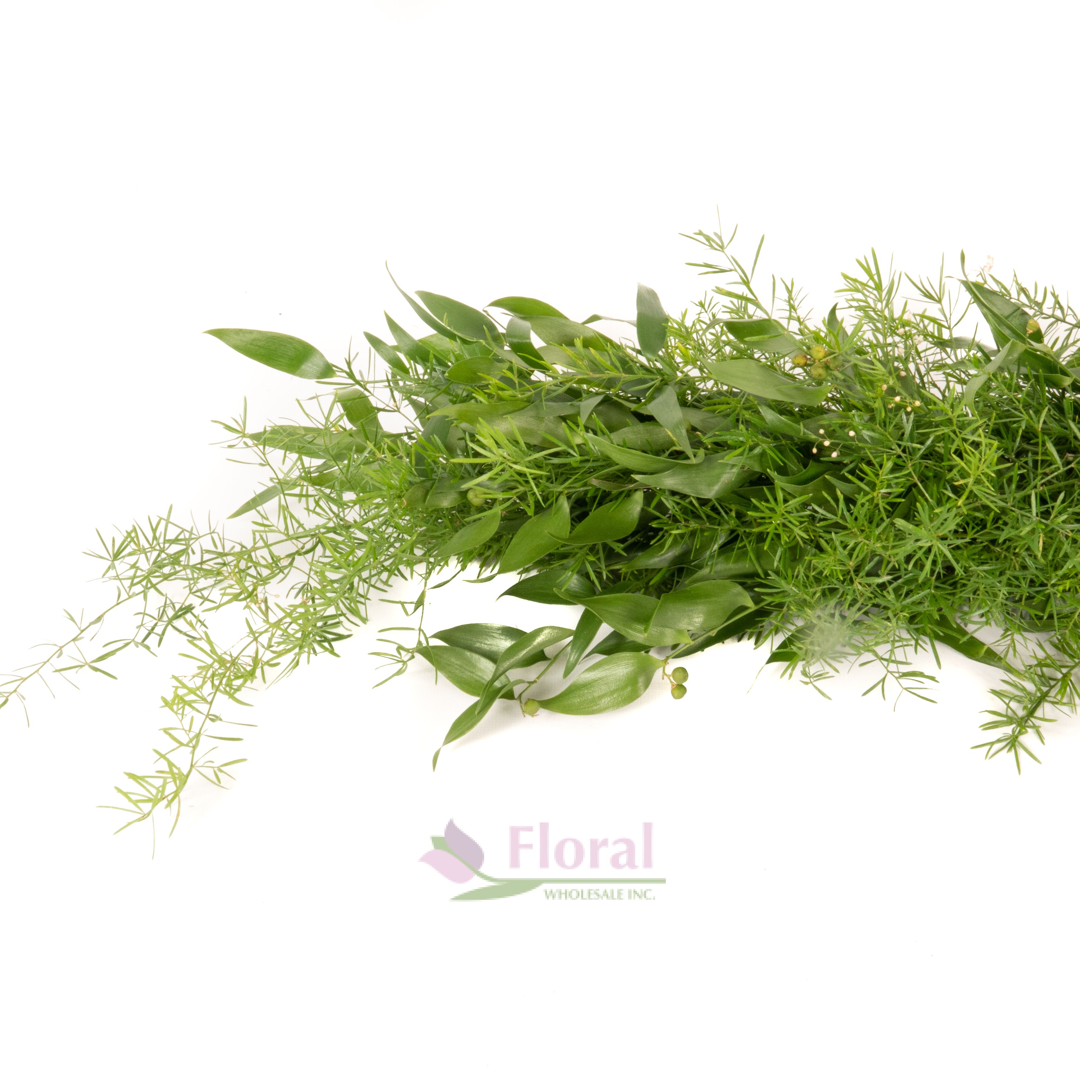 Garland 2 items Italian Ruscus- Springeri - Potomac Floral Wholesale