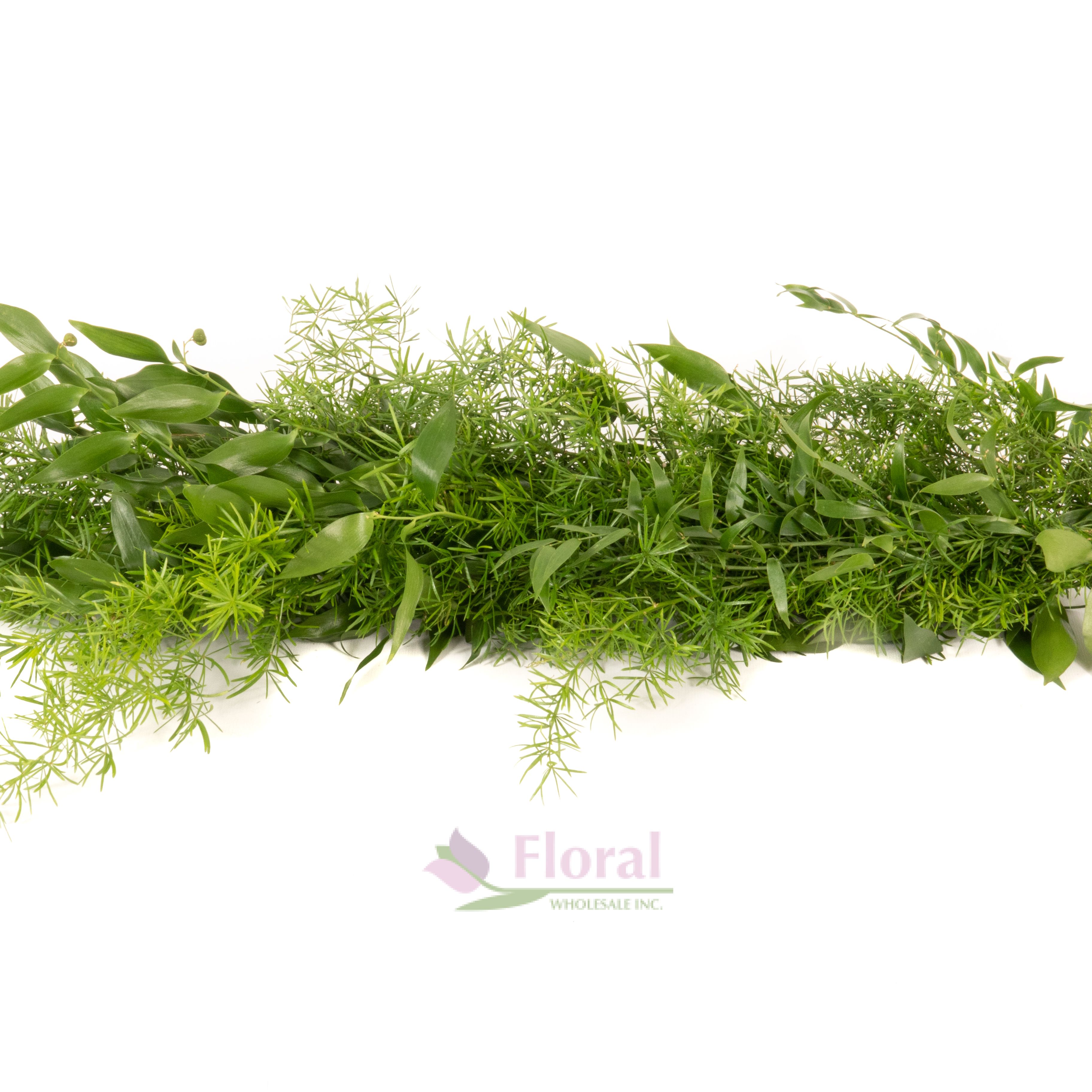 Garland 2 items Italian Ruscus- Springeri - Potomac Floral Wholesale