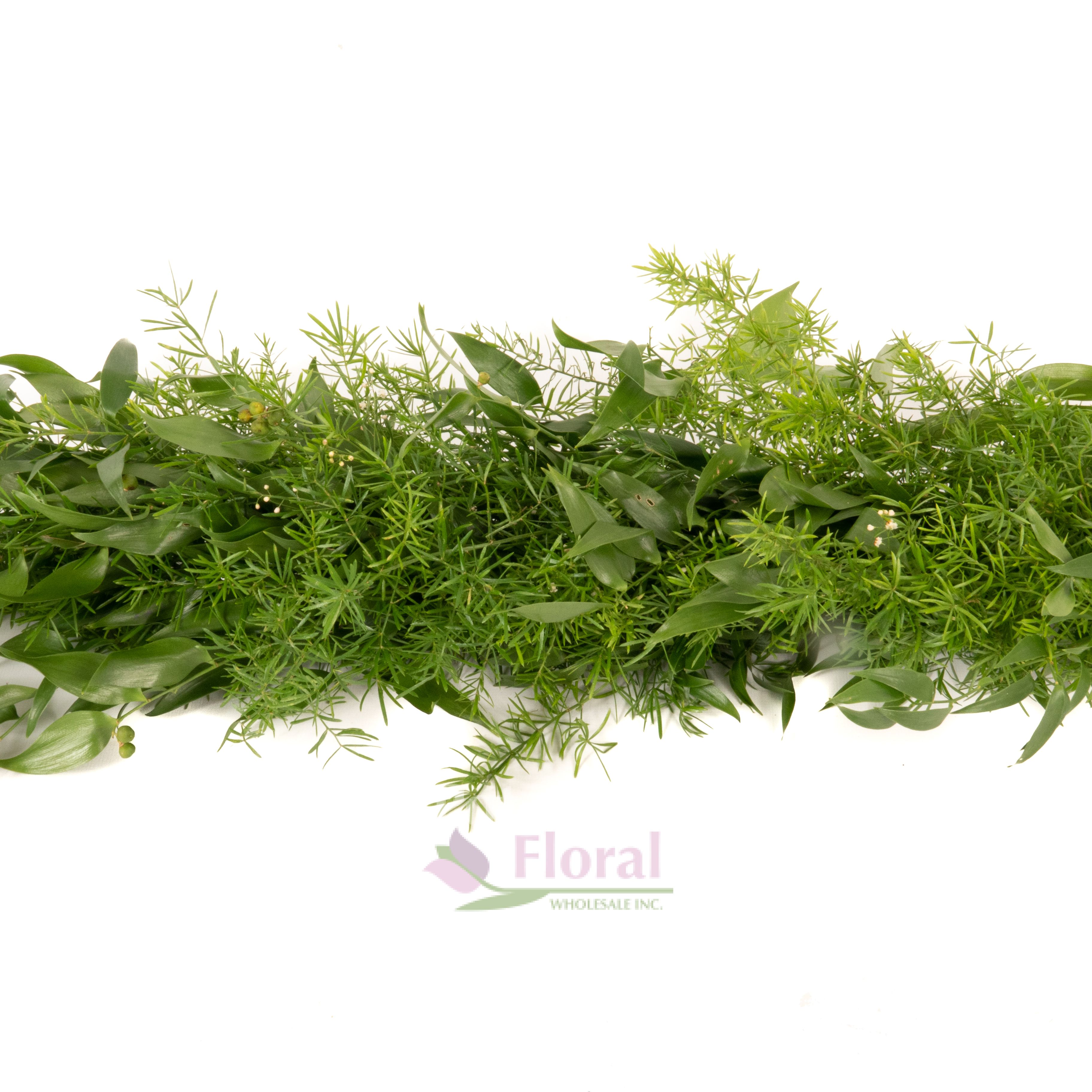 Garland 2 items Italian Ruscus- Springeri - Potomac Floral Wholesale