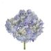 Hydrangea Light Blue, Select, 40 stems per case - Potomac Floral Wholesale