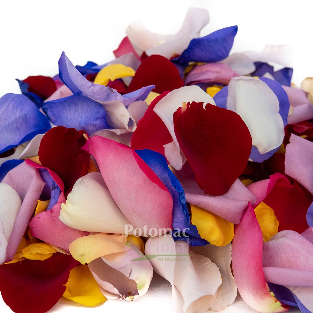Rose Petals Assorted Colors - 200 Gram Bag - Potomac Floral Wholesale