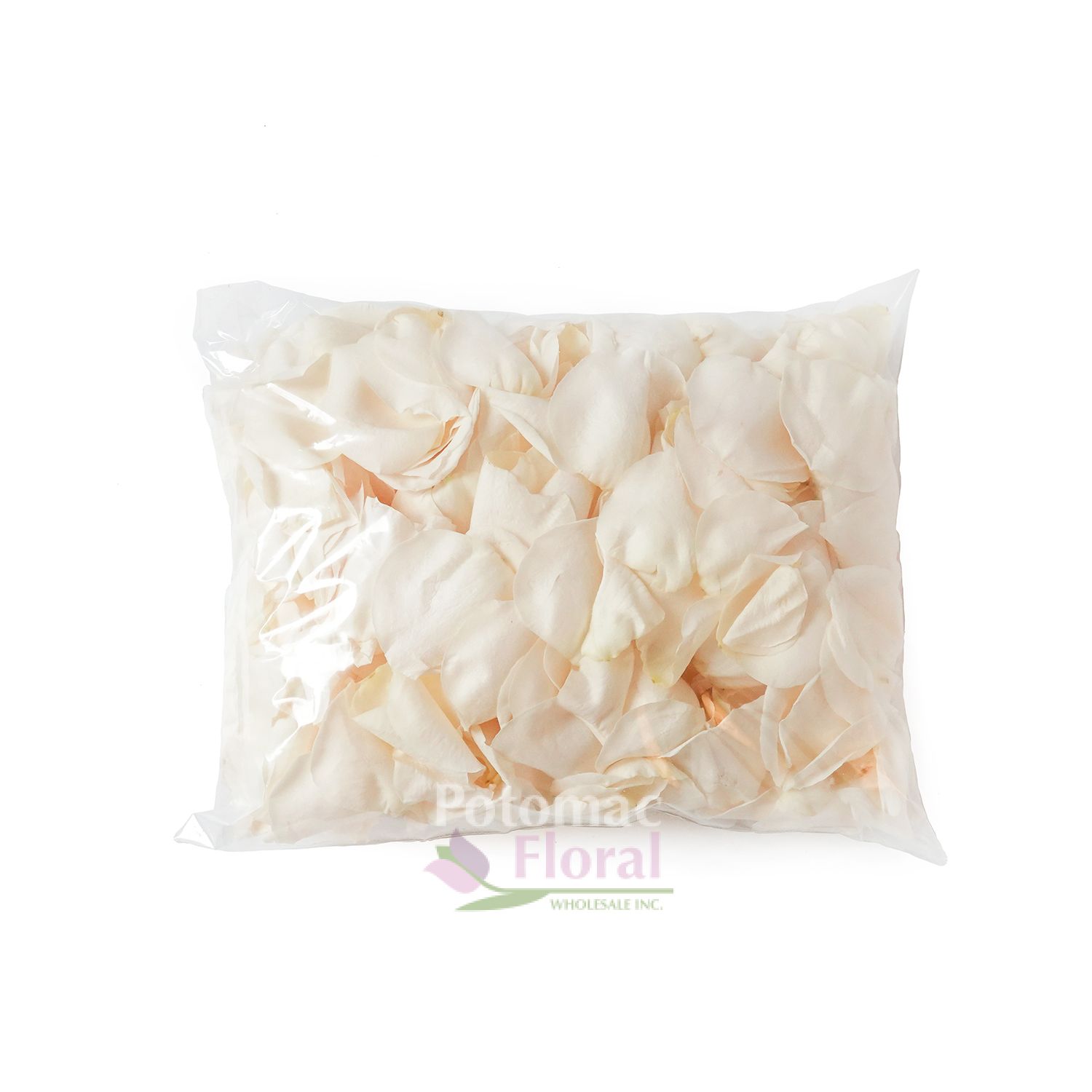 Rose Petals Creamy White - 200 Gram Bag - Potomac Floral Wholesale