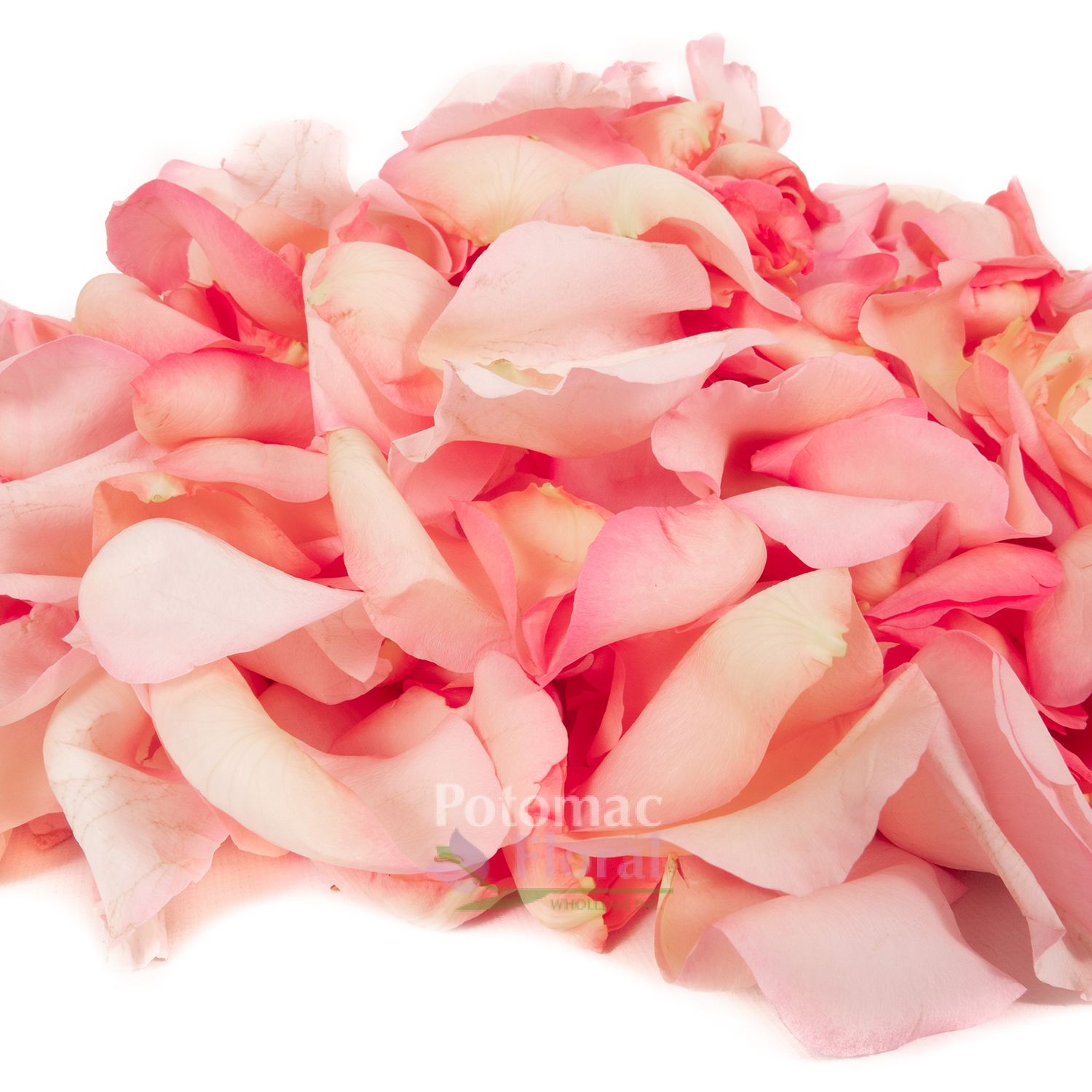 Rose Petals Light Pink - 200 Gram Bag - Potomac Floral Wholesale