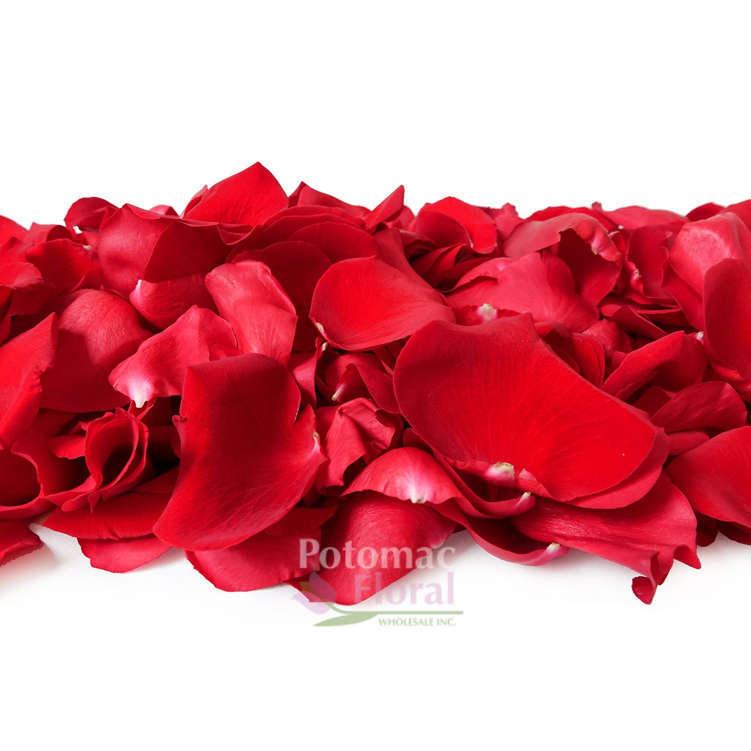 Rose Petals Red - 200 Gram Bag - Potomac Floral Wholesale