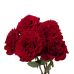 Hearts Rose Burgundy Red, 50 to 60 cm - Potomac Floral Wholesale