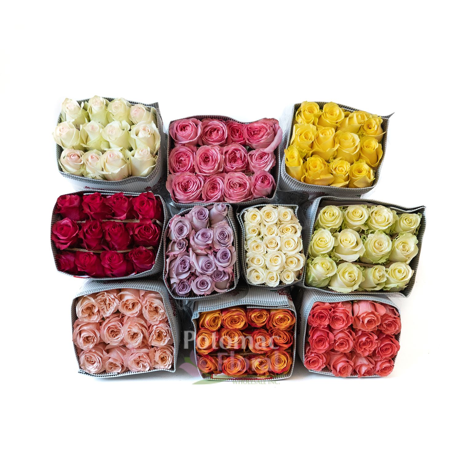 250 Stems Bulk Premium Roses from Ecuador 50 cm Asst Colors, - Potomac ...