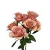 Rose, Mocaccino - Earth Toned , 60 cm - Potomac Floral Wholesale