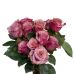 Purple Moon Rose, Mauve-Lavender - Potomac Floral Wholesale