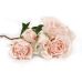 Bashful, Very Blush Pink Spray Roses - Potomac Floral Wholesale