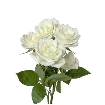 Snow Angels - Big Heads Open Wide White Spray Rose - Potomac Floral ...