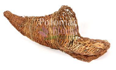 Cornucopia Twiggy Vine 30" with Liner - Potomac Floral Wholesale