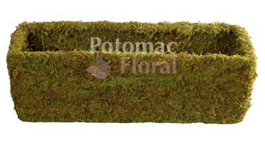 Moss Window Box 24 - Potomac Floral Wholesale