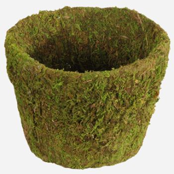 Moss Solvang Basket for 6" Pot. Sewn-in Liner - Potomac Floral Wholesale