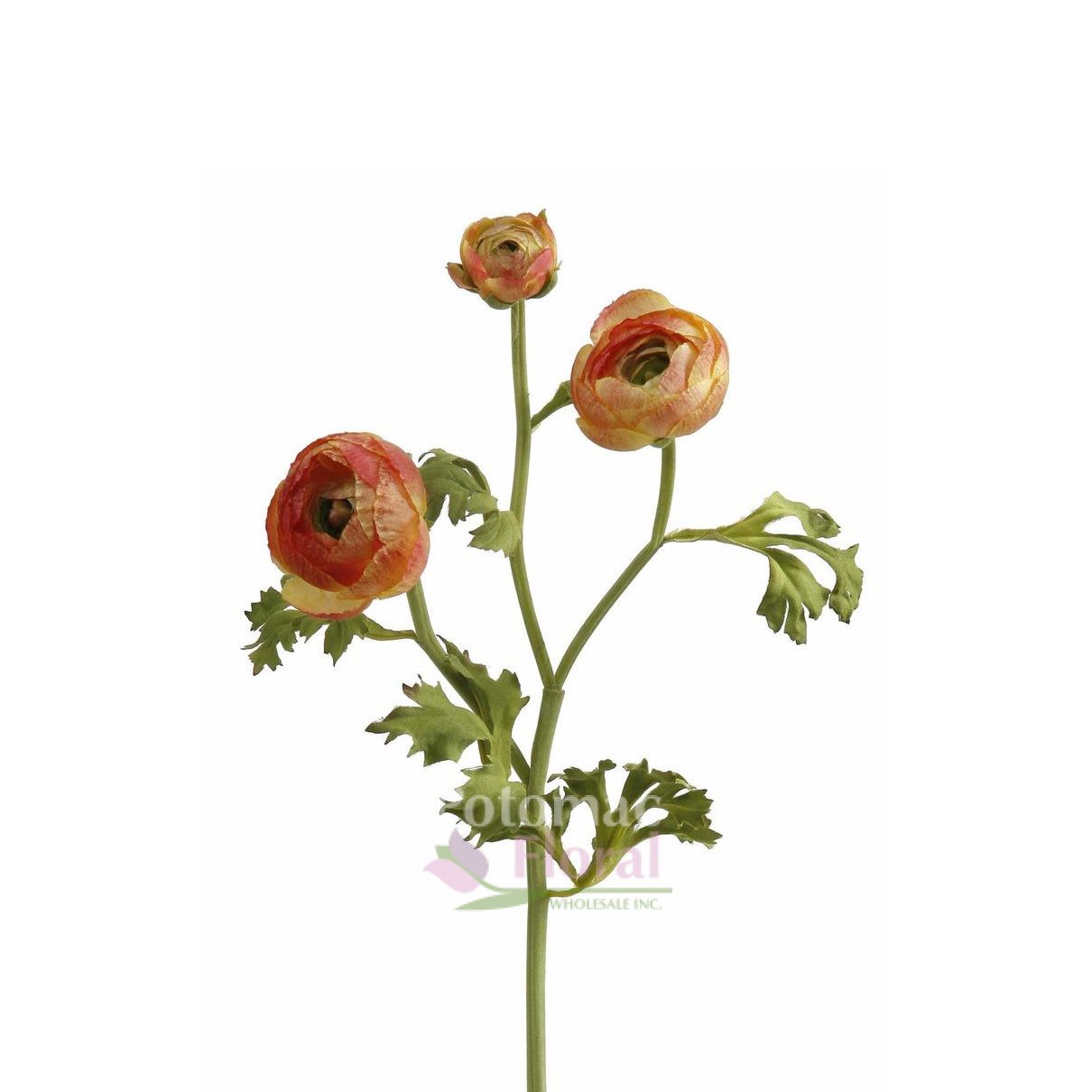 Silk Ranunculus Yellow Red - Potomac Floral Wholesale