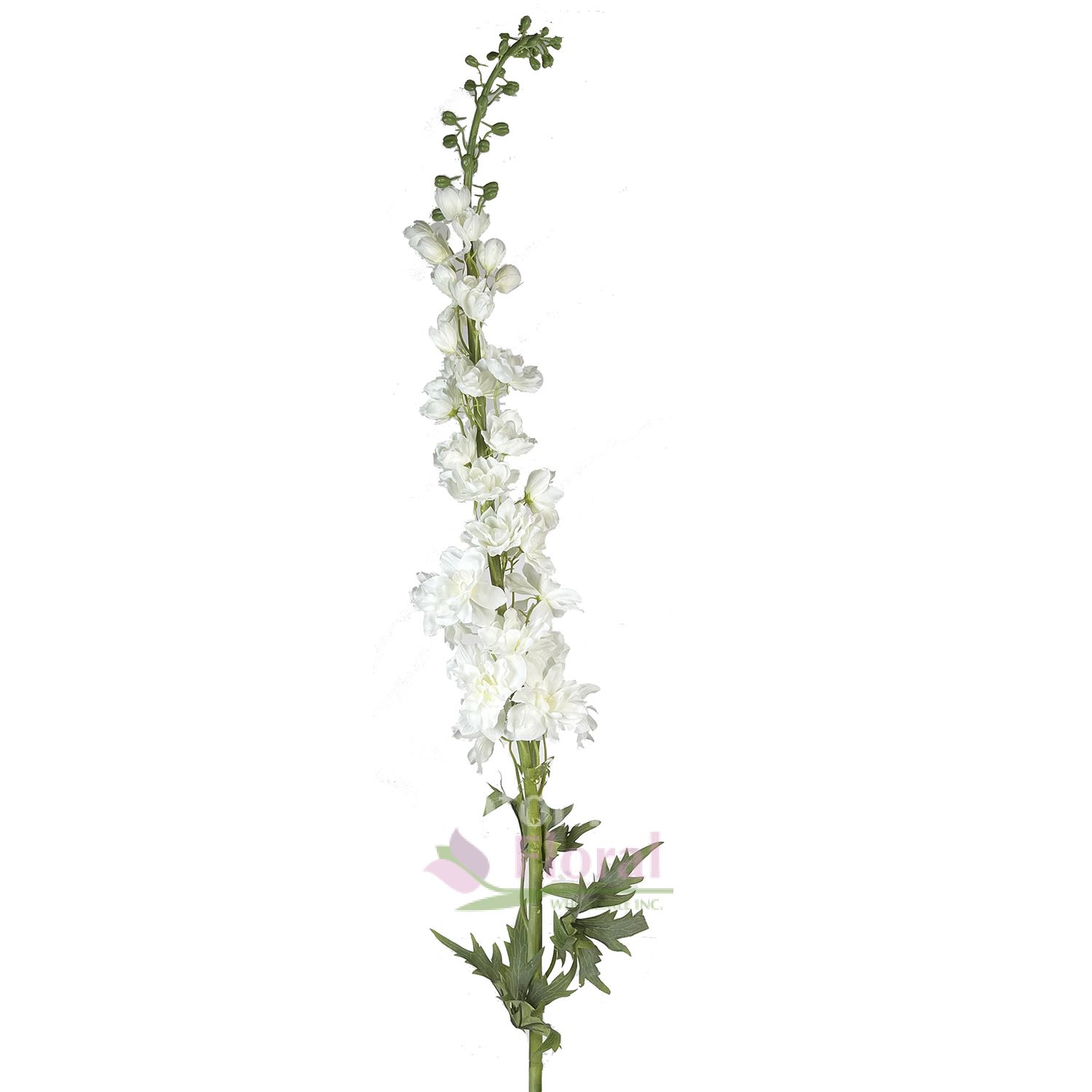 Silk Delphinium Cream - Potomac Floral Wholesale