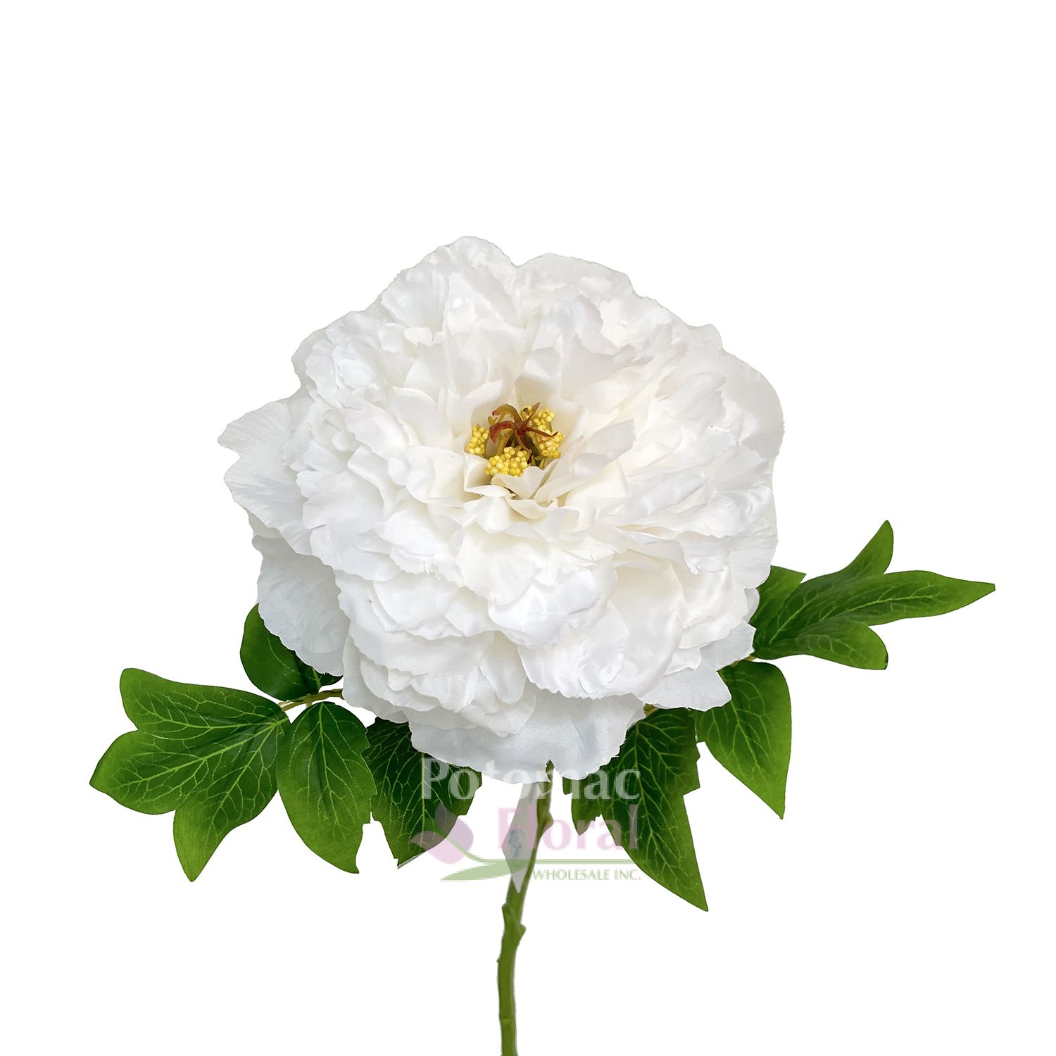 Silk 23" Peony Stem - Creamy White - Potomac Floral Wholesale