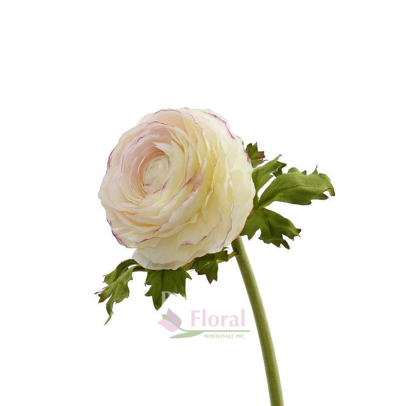 Silk Ranunculus Stem - Linen Cream - Potomac Floral Wholesale