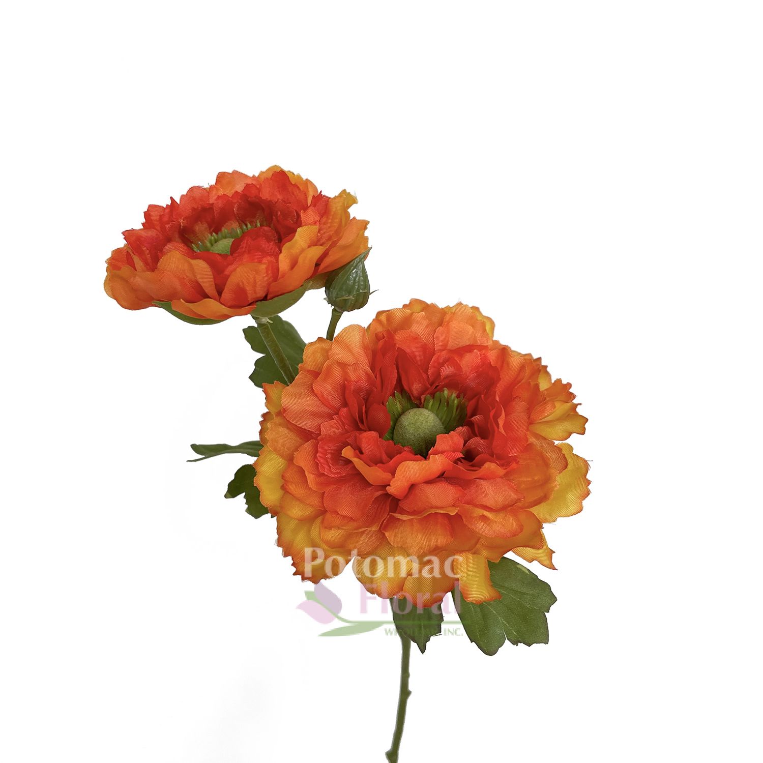Silk Ruffled Ranunculus 19" Stem - Orange - Potomac Floral Wholesale