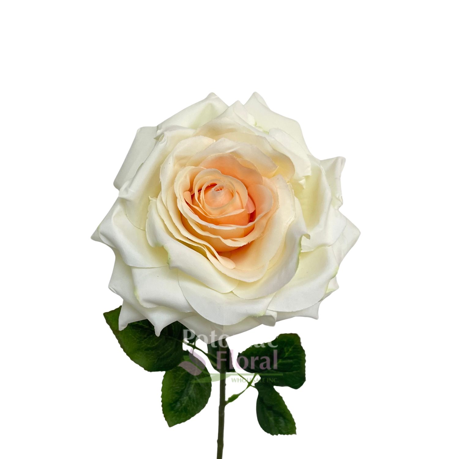 Silk Open Rose 20" - 6" Head, Champagne - Potomac Floral Wholesale