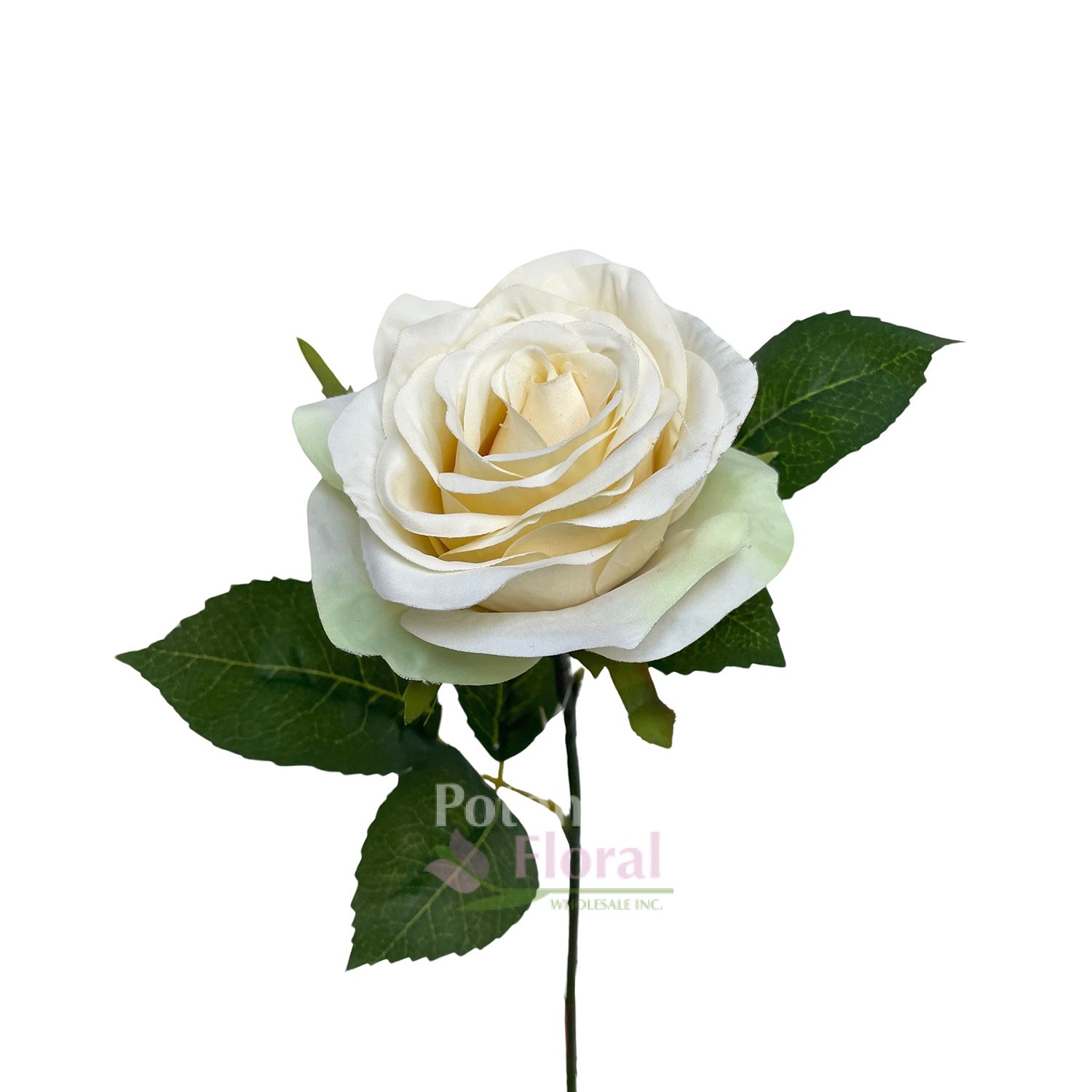Silk Open Rose 20" - 4" Head, Champagne - Potomac Floral Wholesale