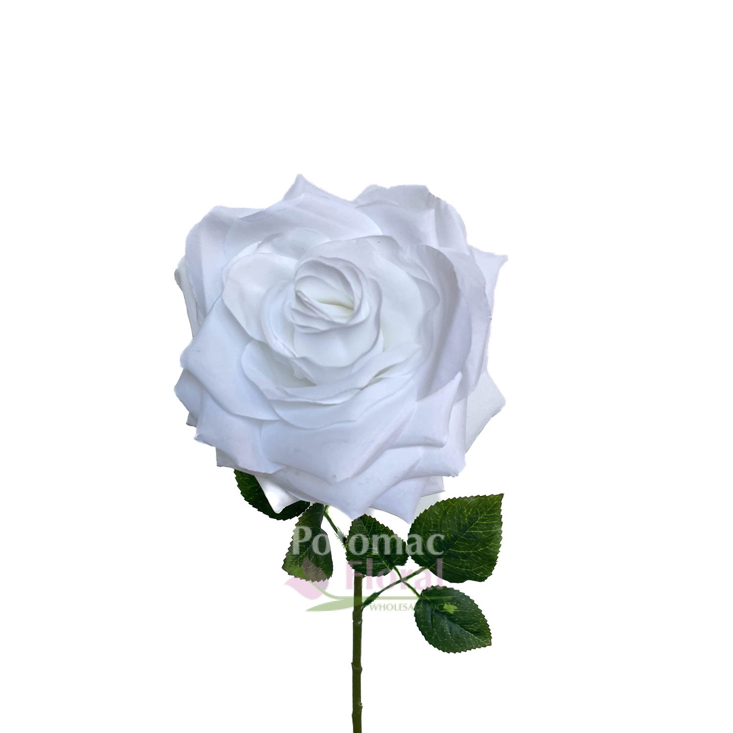 Silk Open Rose 20" - Pure White - Potomac Floral Wholesale