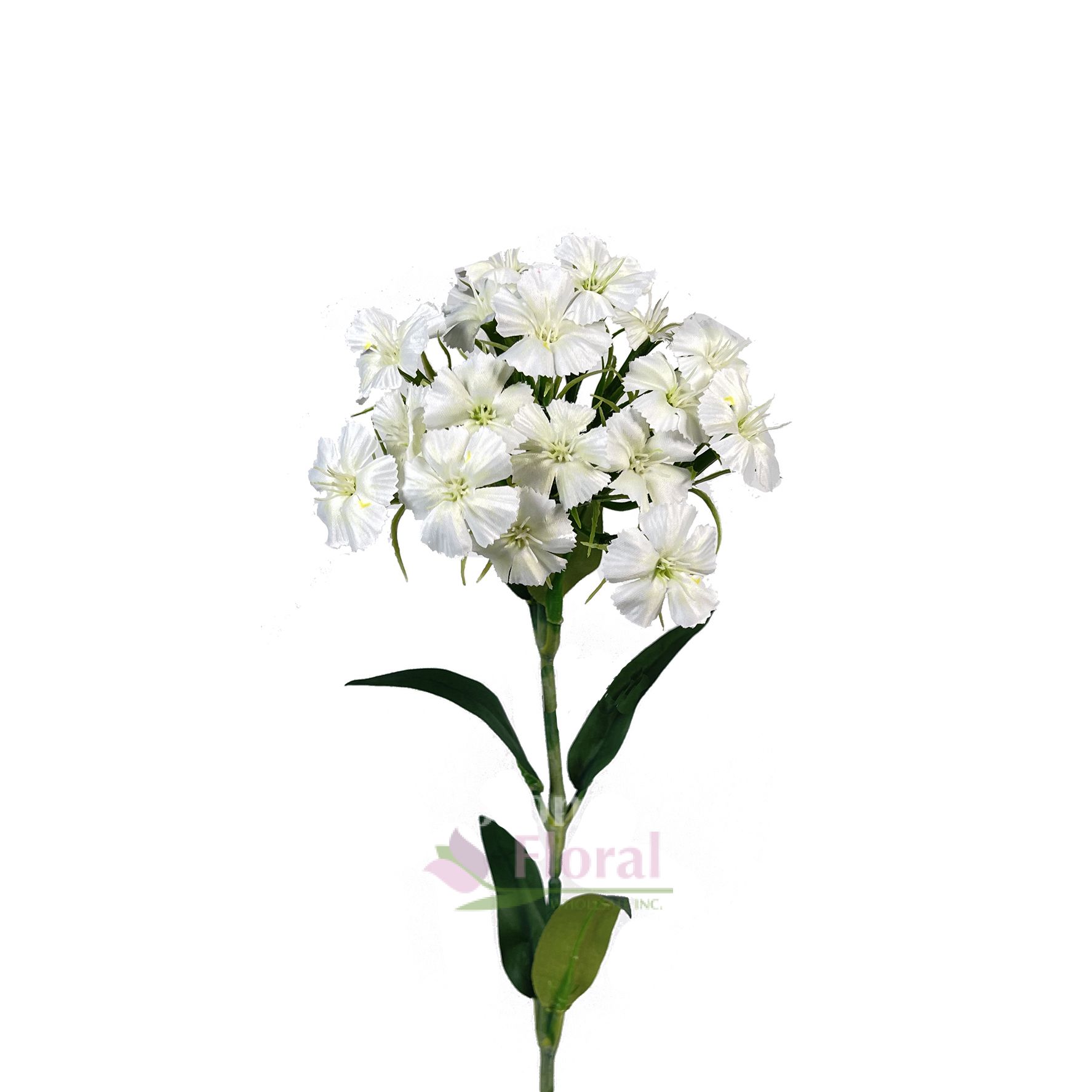 Silk Sweet William Cream White - Potomac Floral Wholesale
