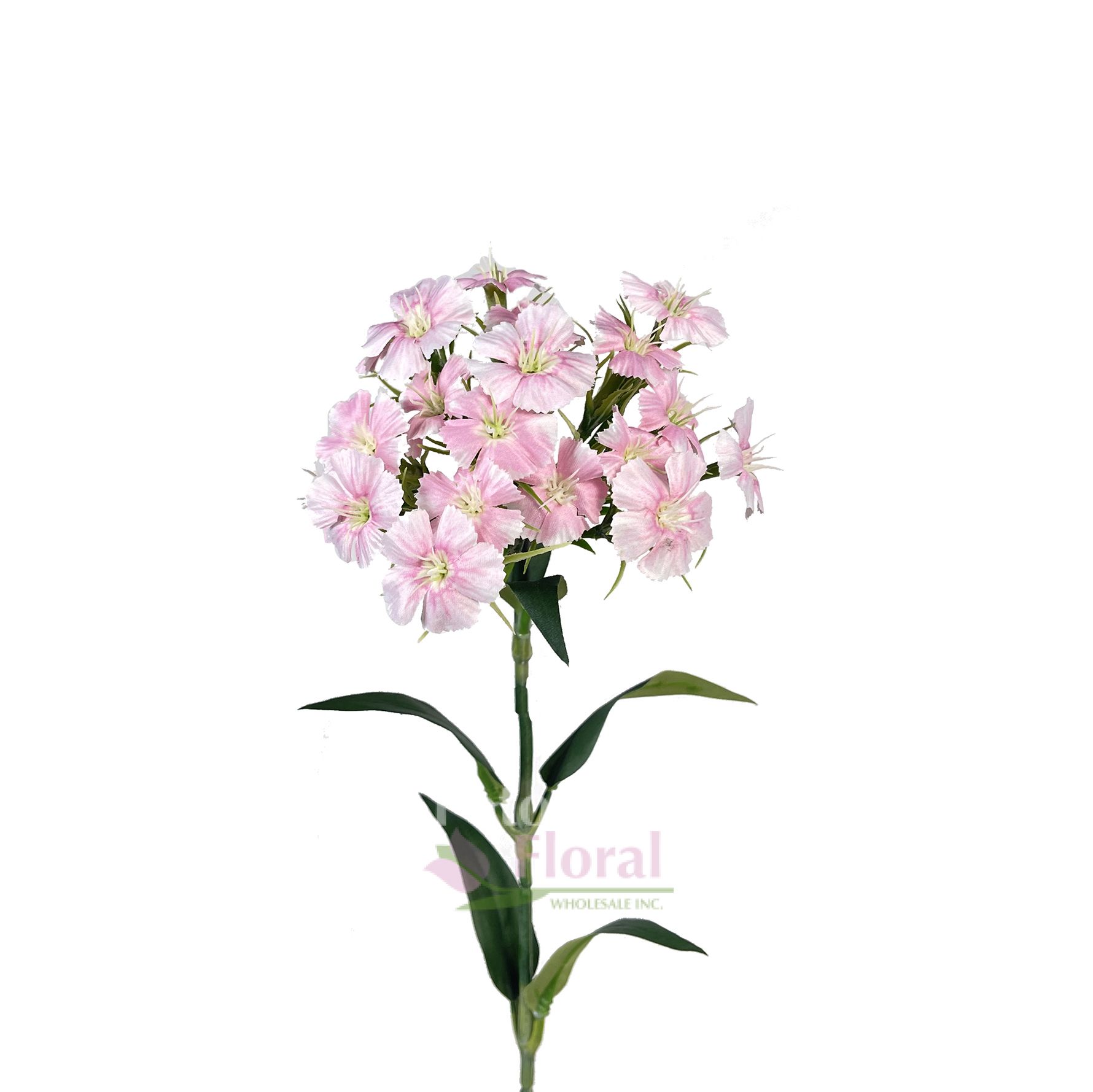 Silk Sweet William Cream Pink - Potomac Floral Wholesale