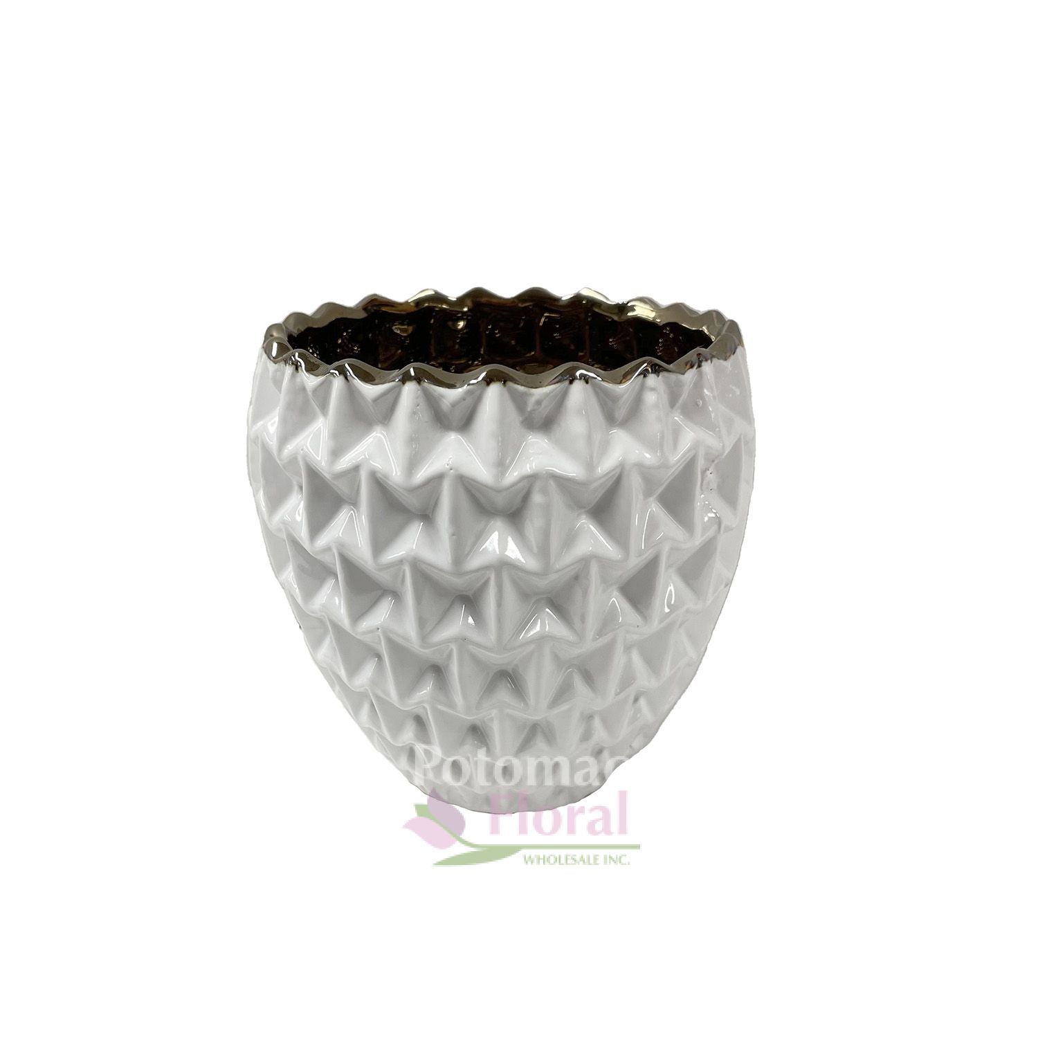 Melrose 5-3/4" Tall x 5-1/4" Pot - Potomac Floral Wholesale