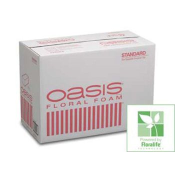 Standard Oasis Bricks - Case of 48 - Potomac Floral Wholesale