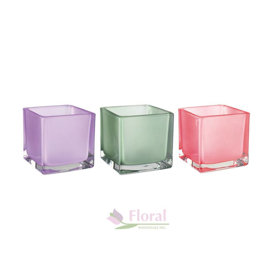 Tulip Spring Assortment 5" Glass Cube - Potomac Floral Wholesale