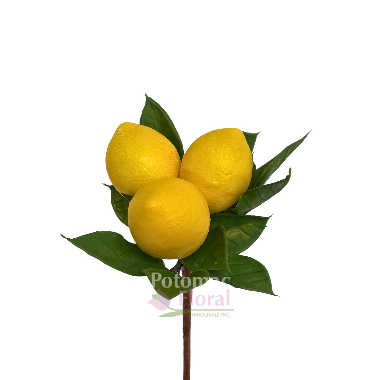 Lemon 8" Pick x 3 - Potomac Floral Wholesale