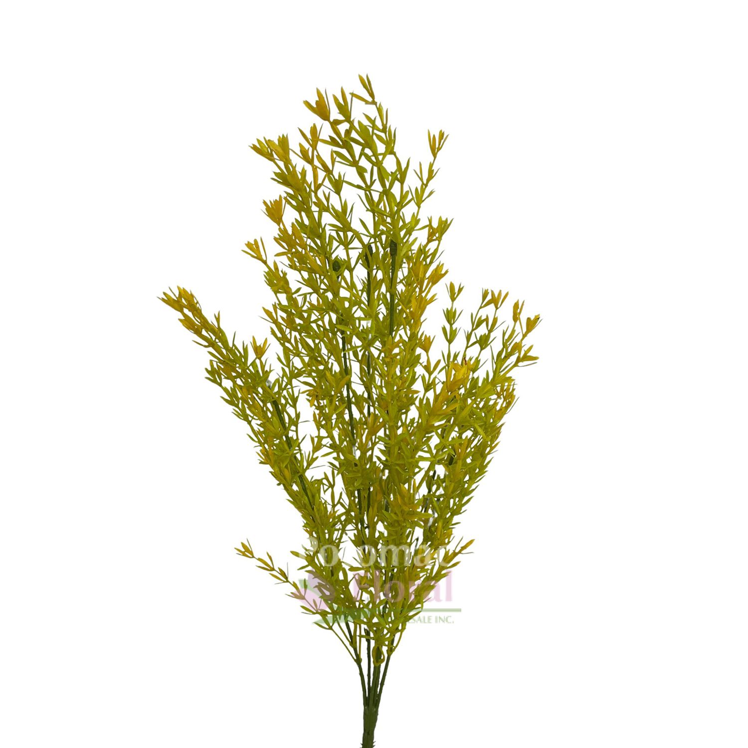 Silk Springerii Bush - Potomac Floral Wholesale
