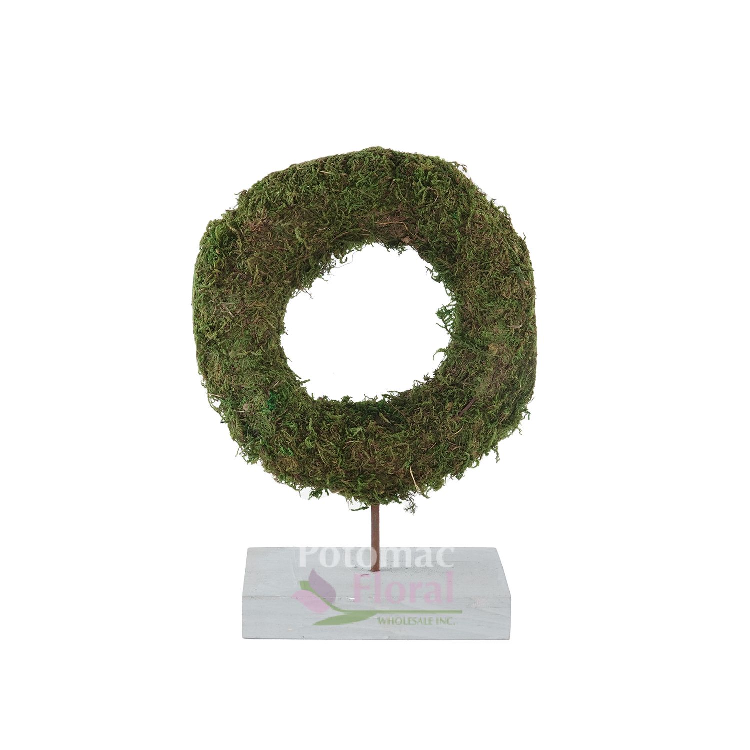 Moss Ring with Stand, 7.5" Size - Potomac Floral Wholesale