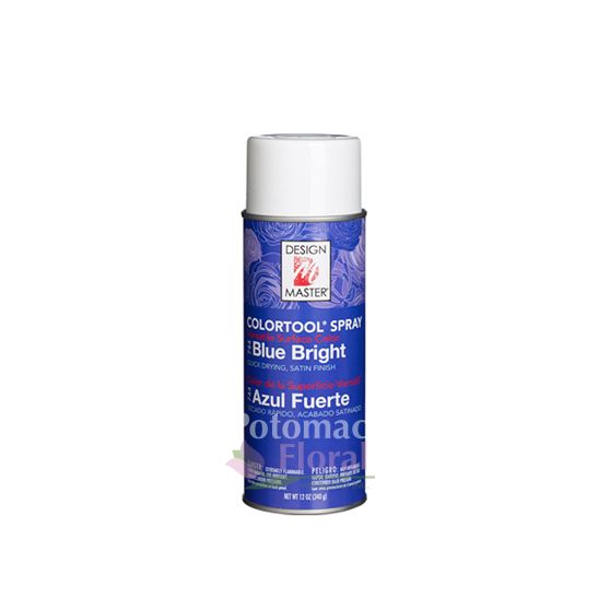 Blue Bright Design Master Paint - Potomac Floral Wholesale