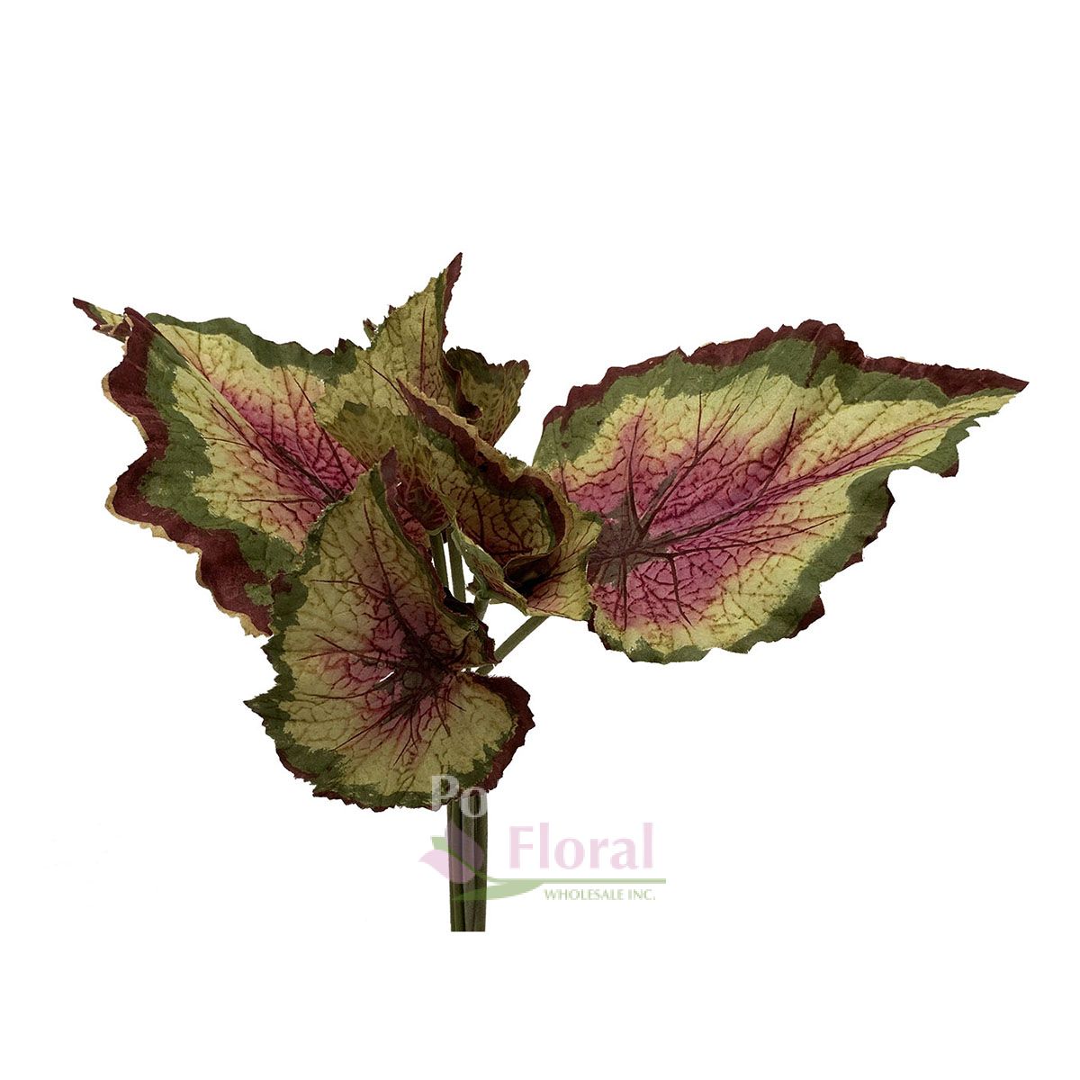 Silk Begonia 14" Greens x 6 - Potomac Floral Wholesale