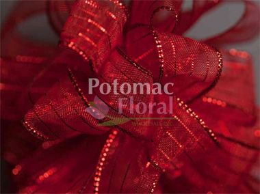 Stripe Chiffon - Red - #3 x 50 Yards - Potomac Floral Wholesale