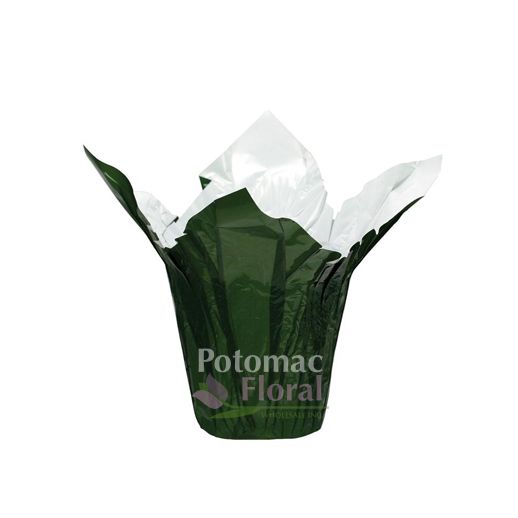 6'' Speed Cover Pearl Moss - Potomac Floral Wholesale