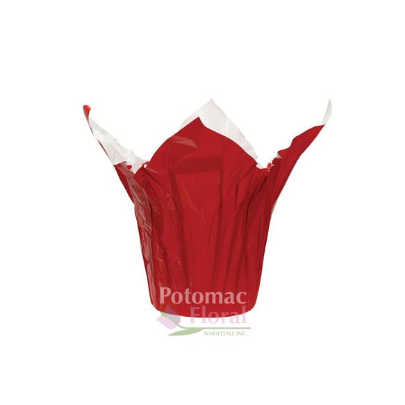6'' Speed Cover Pearl Red - Potomac Floral Wholesale